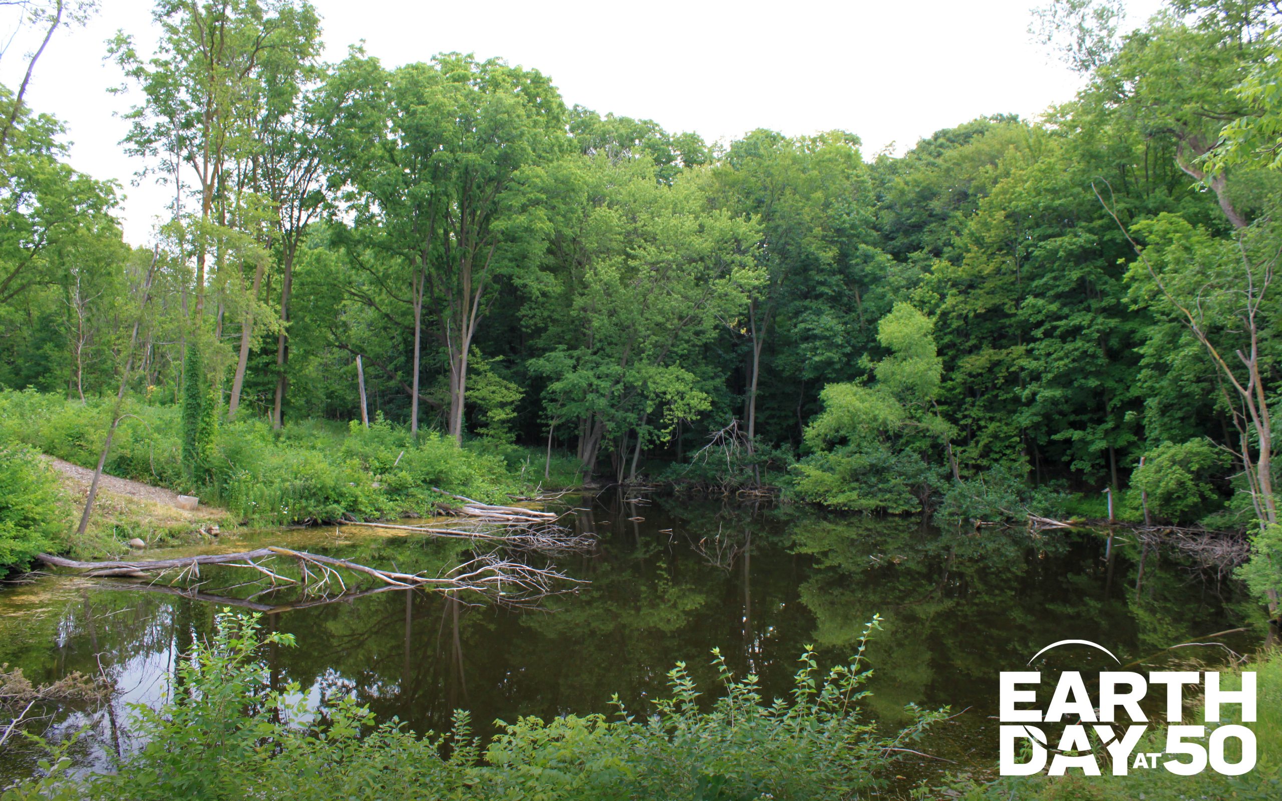 Every Year a Story - Rackham Graduate School: University of Michigan