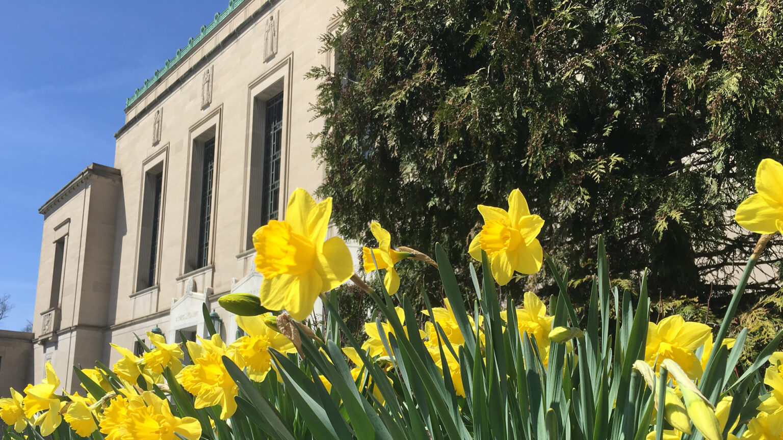 Faculty and Staff | Rackham Graduate School: University of Michigan