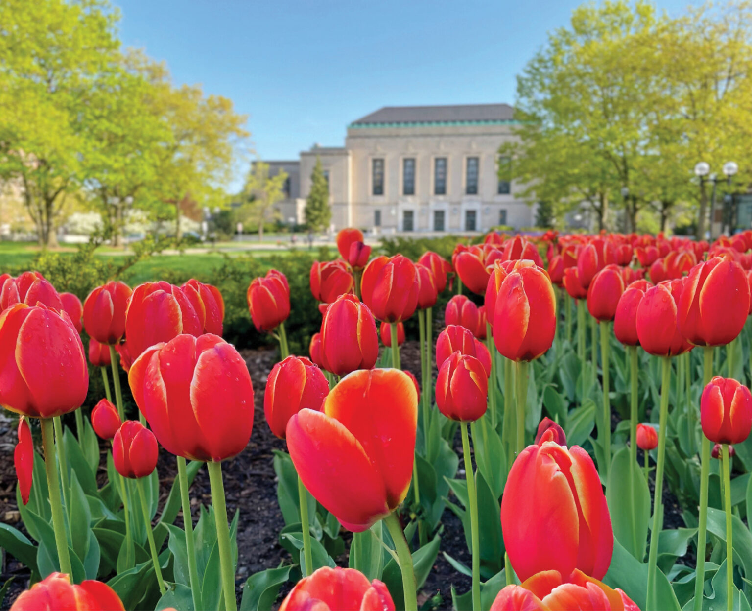 How Rackham Helps | Rackham Graduate School: University of Michigan